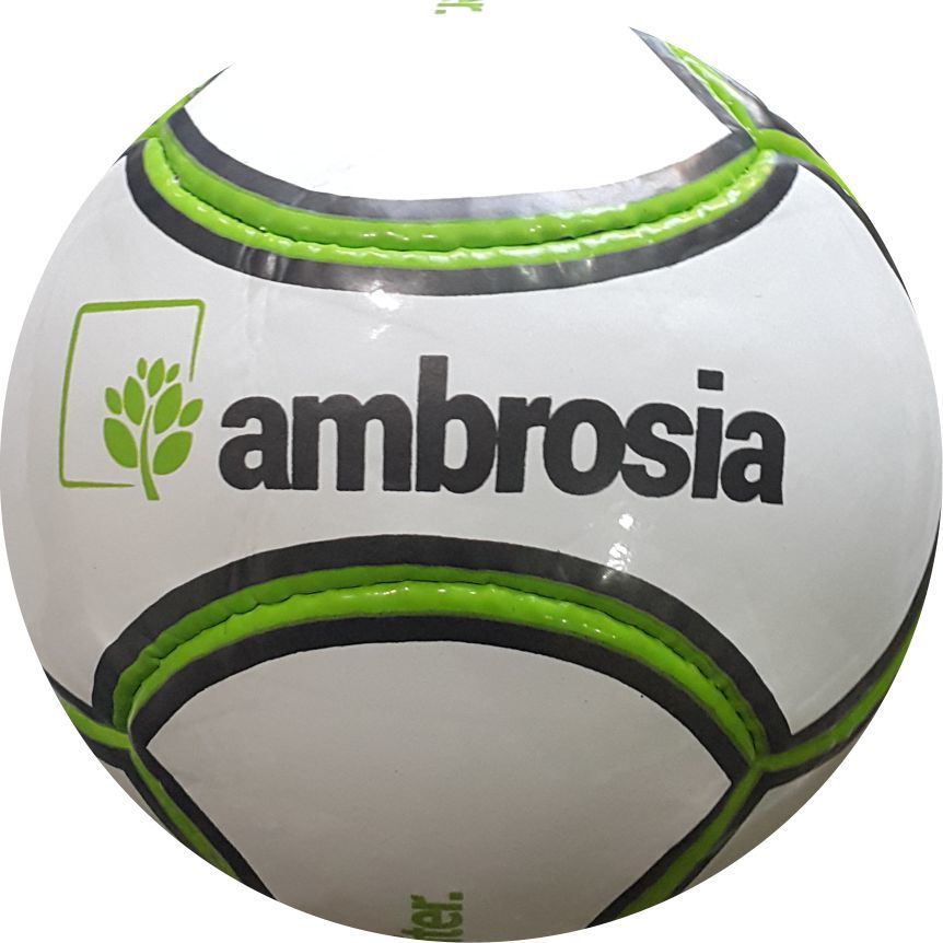 6 Panel Design - Miniball Templates - Custom made promotional balls