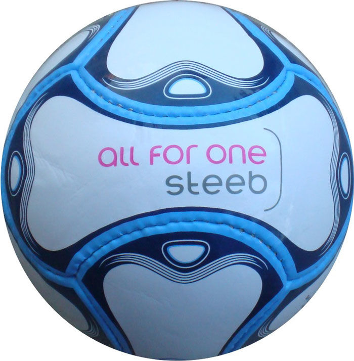 6 Panel Design - Miniball Templates - Custom made promotional balls